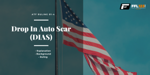Drop In Auto Sear (DIAS) [2021 Guide] - FFL License